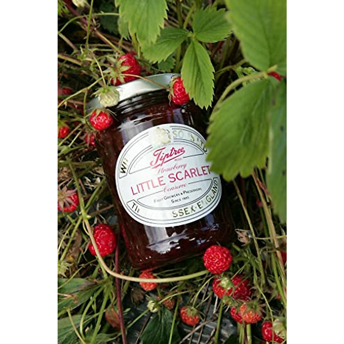 Tiptree Little Scarlet Strawberry Preserve, 12 Ounce Jar