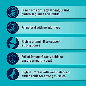 Stewart Freeze Dried Dog Treats, Wild Salmon, Grain Free & Gluten Free, 2.75 Ounce Resealable Tub, Single Ingredient, Made in USA, Dog Training Treats