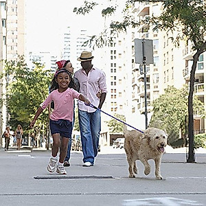 Dog Rope Leash, 5 FT Pet Slip Lead, Dog Training Leash, Standard Adjustable Pet Nylon Leash for Small Medium Dogs 10-80 lb Walking(Blue)