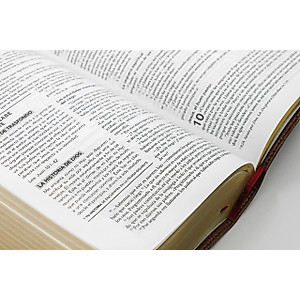 Personalized Bible Custom Text Your Name Santa Biblia La Historia NVI (Spanish Edition) Custom Made Gift for Baptisms Christenings Birthdays Celebrations Holidays