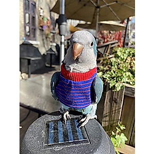 HEZHUO Bird Clothes， Parrot Bird Supplies, Light Flying Clothes, Warm and Comfortable, Tiger Skin, Green Cheek Parrot, Little Sun Parrot, Monk Parrot, Starling, mynah, Senegal Parrot, Mini Macaw (L)
