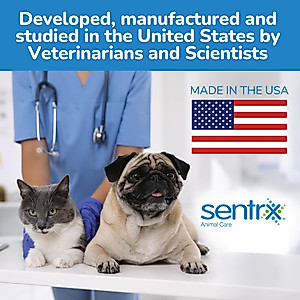 Sentrx Eye Lube Pro, Hyaluronic Acid Drops for Dogs, Cats, Horses, Dry Eye & Redness Relief Ointment, 20g