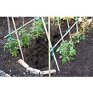 GROW!T Hydrofarm HGBB2 2' Natural Bamboo Stake, Pack of 25, Tan