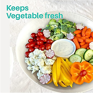 Trenton Gifts Keep Your Pies Fresh Anywhere Universal Pie Container - Perfect for Home or Travel