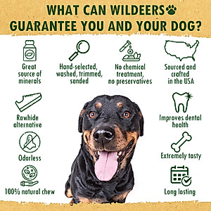 Wildeers Large Deer Antlers for Dogs - Premium Dog Antler Chews - Made in USA, Naturally Shed, Healthy Treat - Grade A, 7-9 in, 3 Pieces, Long Lasting Antler Chew Bones for Aggressive Chewers