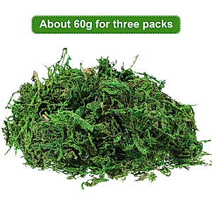 Veemoon 3 Packs of Artificial Moss Dried Moss Fake Lichen Plants for Home Fairy Garden Patio Decoration- Dark Green 60g/ Pack