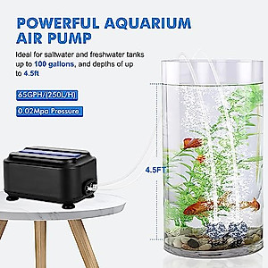 fishkeeper Aquarium Air Pump, 5W Dual Outlet Adjustable Fish Tank Aerator, 65GPH Quiet Oxygen Bubbler with Air Stone/Tubing/Check Valve/Connector for Fish Tank up to 100 Gallon