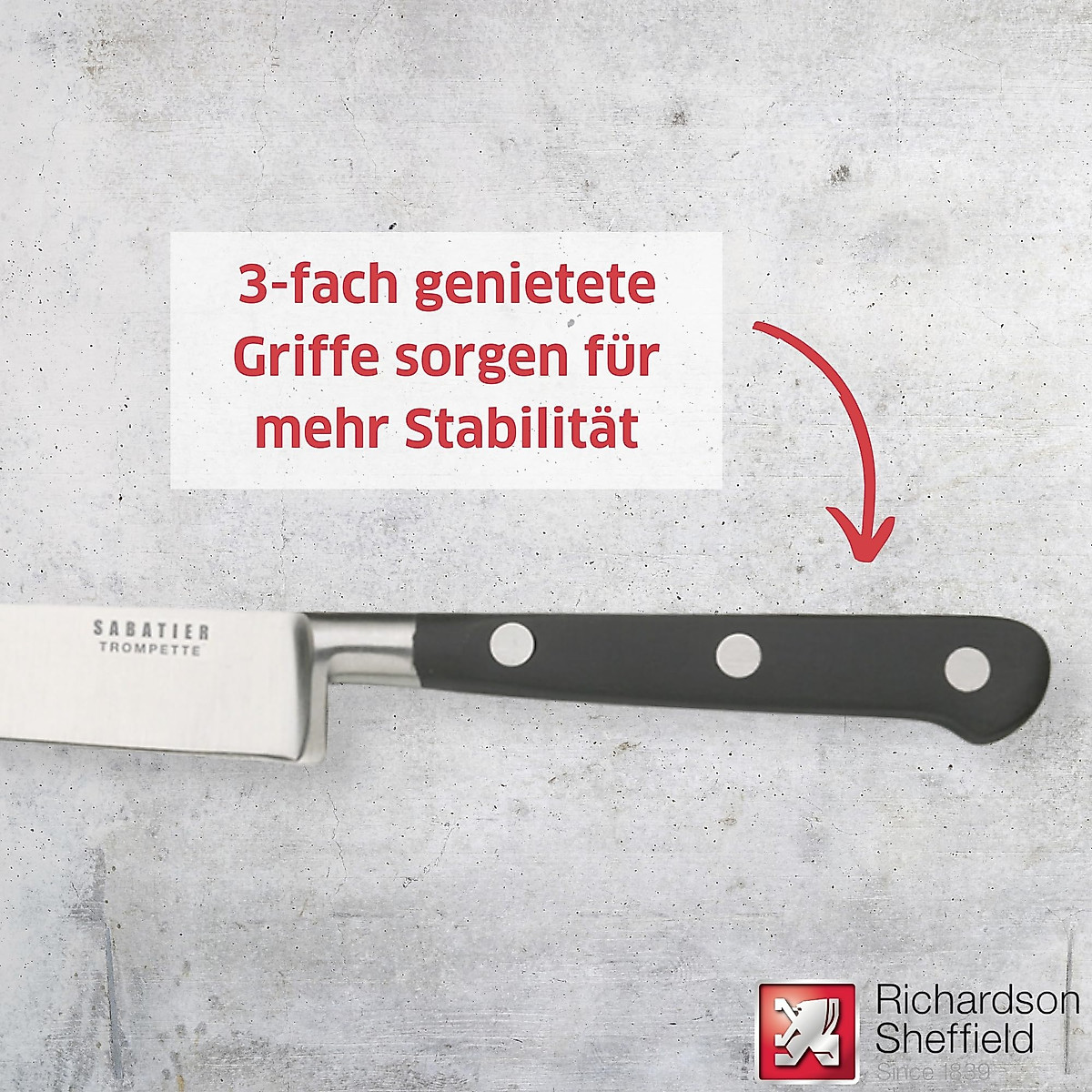 RICHARDSON SHEFFIELD R08000P101116 Sabatier Trompette All Purpose Knife, Silver