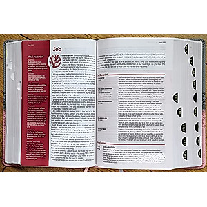 NIV, Life Application Study Bible, Third Edition, Large Print, Leathersoft, Gray/Pink, Red Letter, Thumb Indexed