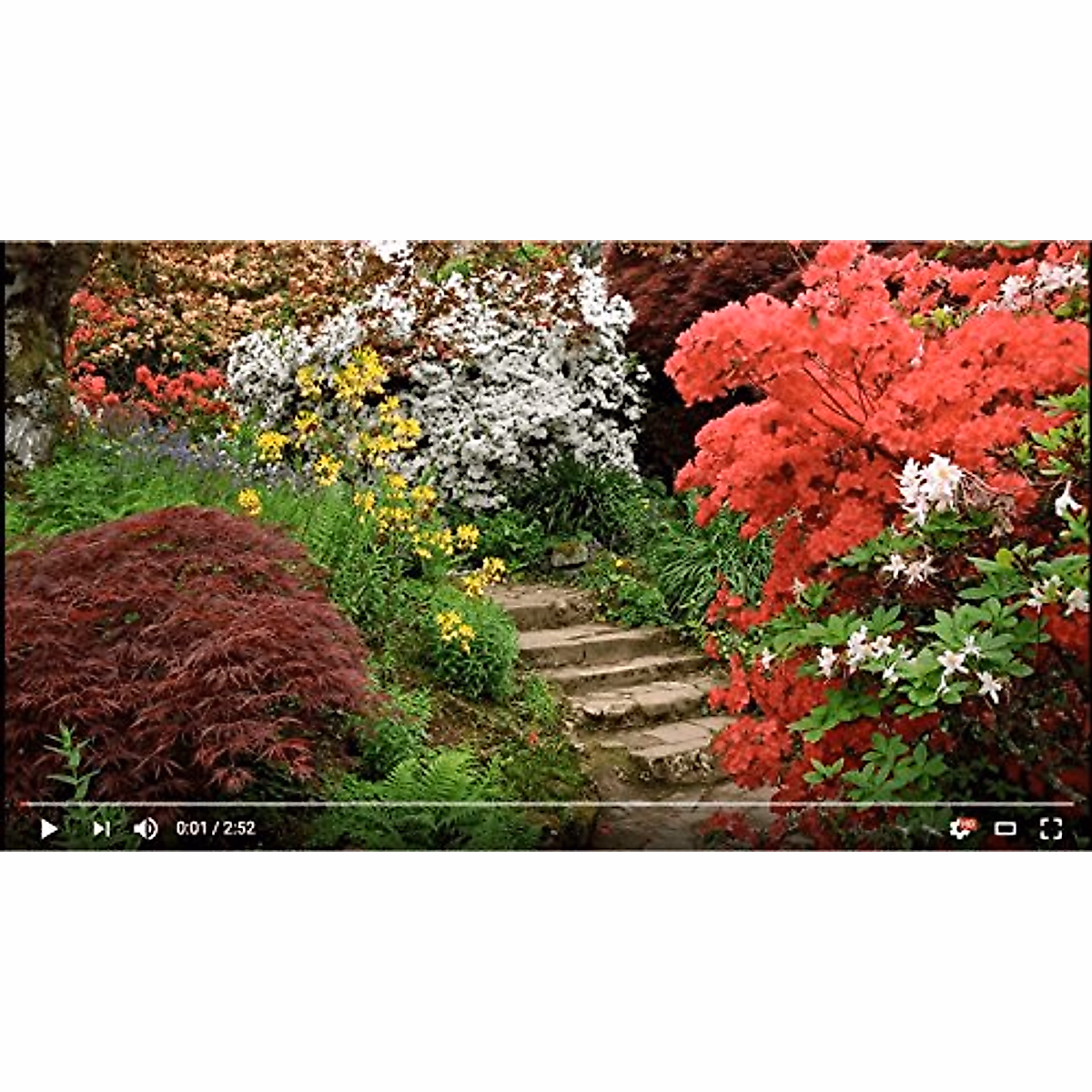 BGI CITRUSGAIN 10lb Bag, Citrus Fertilizer