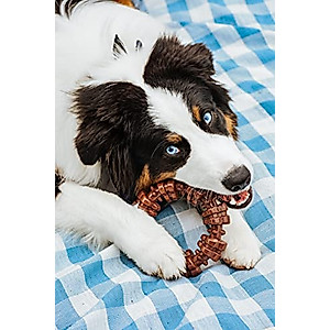 Nylabone Power Chew Textured Dog Chew Ring Toy - Tough and Durable Dog Chew Toy for Aggressive Chewers - Indestructible Dog Toys for Aggressive Chewers - Flavor Medley, X-Large/Souper (1 Count)