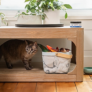 Fresh Wave Odor Removing Litter Box Gel, 7 oz. Pet Odor Eliminator for Home, Safer Odor Relief