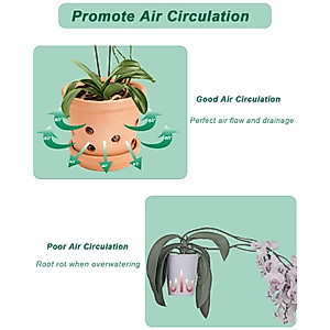 vensovo 6 Inch Terracotta Orchid Pots with Holes and Saucers - 3 Pcs Small Clay Orchid Planter Pots for Repotting, Plant Flower Pots for Orchid Indoor and Outdoor Promotes Air Circulation