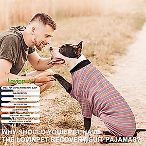 LovinPet Large Dog Pajamas, Cotton Multicolor Stripe Big Dog Shirt,Cotton Dog Jammies, Full Body Dog Onesie, Pet PJ's/Medium