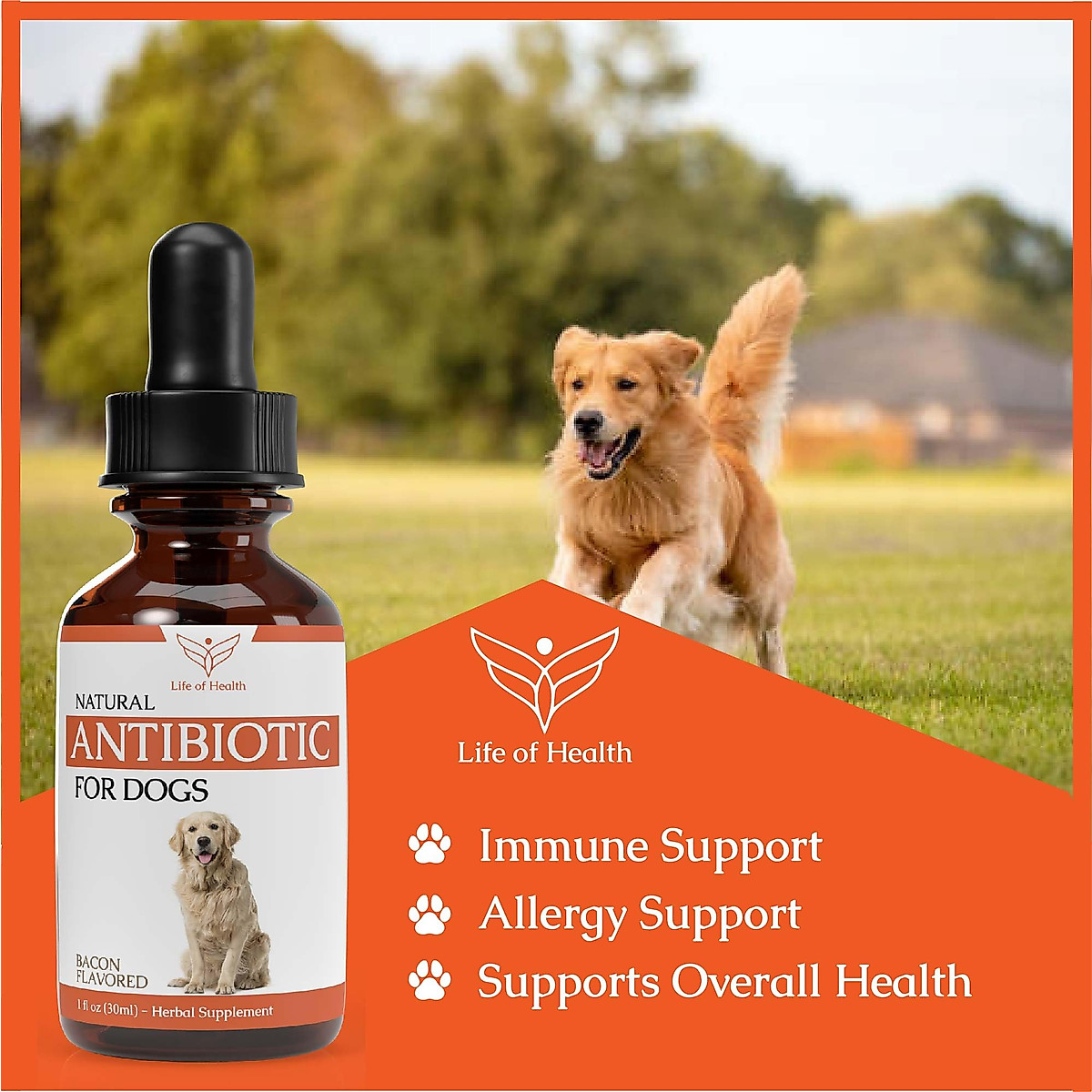 Natural Antibiotics for Dogs | Dog Antibiotics | Dog Ear Infection Treatment | Dog Itch Relief | Yeast Infection Treatment for Dogs | Dog Antibiotic | Pet Antibiotics | Antibiotic for Dogs | 1 oz