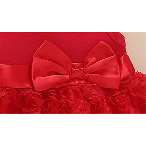 Niyage Baby Girls Clothes Dress Headband Shoes 3 Pcs Set Flowers Party Outfit Floral Dress-Red 0-3 Months