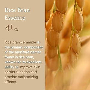 I'm from Rice Cream 1.69 Ounce, 41% Rice Bran Essence with Ceramide, Glowing Look, Improves Moisture Skin Barrier, Nourishes Deeply, Smoothening to Even Out Skin Tone, K Beauty