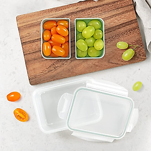 carrotez Food Storage Containers 2 Compartment, Meal Prep Container, Lunch Containers, Portion Control Container, BPA Free, Airtight Lids, Reusable, Snack Containers, 2 Cup (480ml)