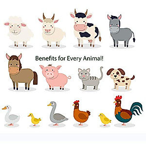 Family Farm and Feed | Brewers Yeast | Animal and Pet | Young and Adult | Granular | 4 Pounds