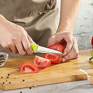 JJOO Chef knife, Kitchen Knife, 6.3 inch Chef Knife, 3.5 inch Paring Knife and Matched Knife Sheath, German Stainless Steel Kitchen Knives with Ergonomic PP Handle