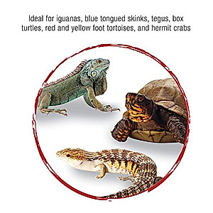 Zilla Reptile Food Munchies Fruit Mix for Pet Iguanas, Skinks, Tegus, Box Turtles, Tortoises & Hermit Crabs, 2.5 Ounce