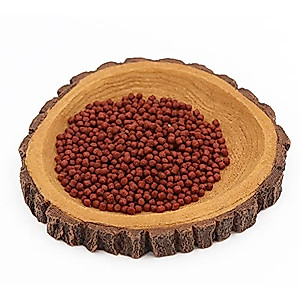 AQUA KT Reptile Corner Water Dish Food Feeding Bowl for Snake Lizard Bearded Dragon Turtle Feed and Terrarium Habitat Cage Decoration