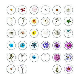 150 Pieces Real Dried Pressed Flowers for Craft Supplies & Materials,Dried Flowers for Resin Molds Silicone Kit Bundle,Scrapbook Supplies,Soap Making