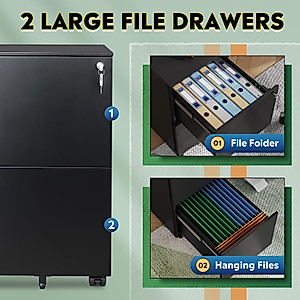 DEVAISE 2-Drawer Rolling File Cabinet with Lock, Metal Filing Cabinet for Home Office, Fully Assembled Under Desk Cabinet, Black