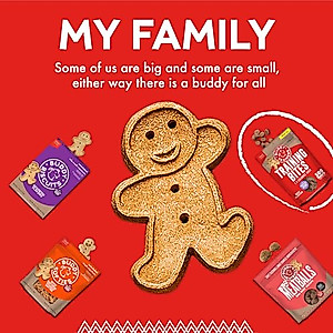 Buddy Biscuits Trainers Training Bites Soft & Chewy Dog Treats, Beef, 10 oz. Pouch