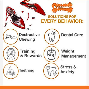 Nylabone Power Chew Toys Variety Triple Pack - Dog Toys for Aggressive Chewers - Indestructible Dog Bones for Small Dogs - Chicken, Bacon & Peanut Buter Flavors, Small/Regular (3 Count)