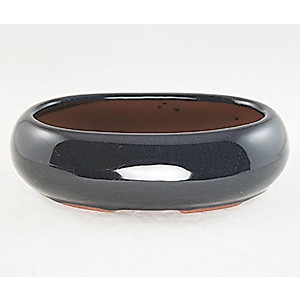 Narrow Oval Bonsai/Cactus & Succulent Pot 7.5"x 4.5"x 2" - Navy Blue Glazed