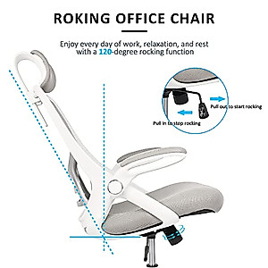 HYLONE Office Chair Executive Mesh Computer Desk Chair Comfortable with Headrest, Flip-up Arms, Adjustable Height, White