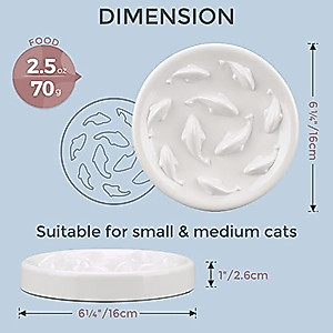 MSBC Pet Slow Feed Dish for Cats and Small Dogs - Fish Pool Design, Fun Interactive Bloat Stop Puzzle Feeder Bowl Healthy Eating Diet Food Grade Melamine Material Easy to Clean Dishwasher Safe (White)