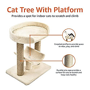 Amazon Basics Top Platform Cat Tree With Scratching Post - 18 x 14 x 22 Inches, Beige