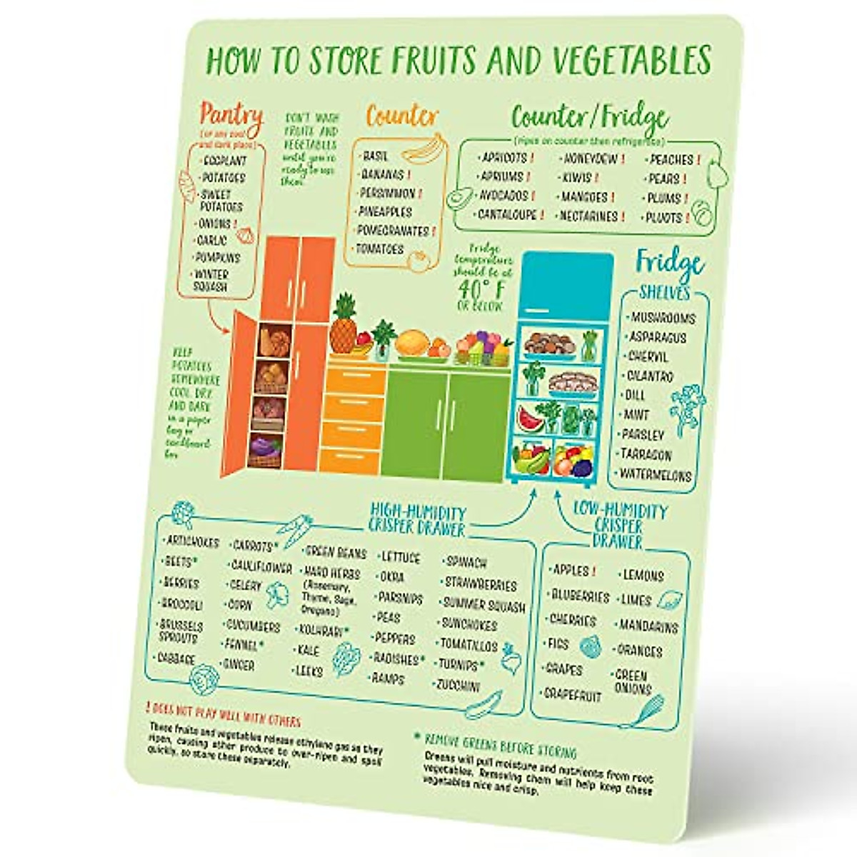 Kitchen Conversions & Produce Storage Guide Bundle | Minimize Food Waste and Become A Home Cooking Pro