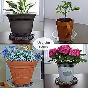 GROWNEER 15 Pack of 6, 8, 10 Inches Clear Plant Saucers Flower Pot Trays, with 15 Pcs Plant Labels, Plastic Plant Saucer Drip Trays for Indoor Outdoor Plants Garden