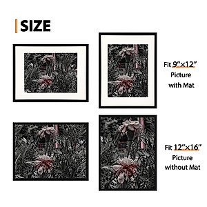 Fixwal 12 x 16 Black Picture Frame Set of 4, Display 9 x 12 Picture with Mat or 12x16 without Mat for Wall Hanging Display