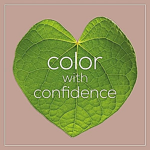 Naturtint Permanent Hair Color 6N Dark Blonde (Pack of 1), Ammonia Free, Vegan, Cruelty Free, up to 100% Gray Coverage, Long Lasting Results