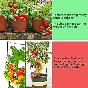 Tomato Cage Plant Support Cage for Garden 8 Pack, 18 Inch Tomato Trellis Garden Cages with 3 Adjustable Rings, Tomato Plant Stakes for Climbing Plants, Flowers, Fruit, Vegetables