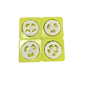 Natural Loofah Soap Making Kit Mold Includes 4pcs 1" Loofah Slices Cuts and Round Silicone Soap Mold
