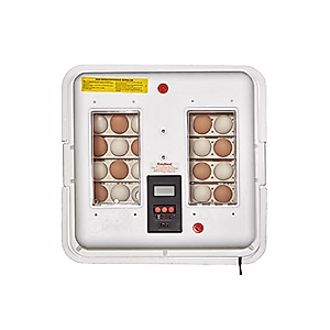 Little Giant® Digital Circulated Air Incubator with Automatic Turner | 41 Eggs | Egg Incubator with Fan and Egg Turner