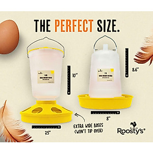 Roosty's - Top Fill Chicken Feeder and Waterer - 1.5KG/1.5L | Hanging, Small, Duck & Quail Feeder & Waterer | Chicken Supplies