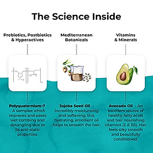 TEMPLESPA | IN GOOD CONDITION | Luxury Hair Conditioner, Lightweight Feel for Soft and Glossy Hair. Free from Parabens, Phthalates and Sulphates, Natural Ingredients, Cruelty-Free, Vegan 5.0 fl.oz.