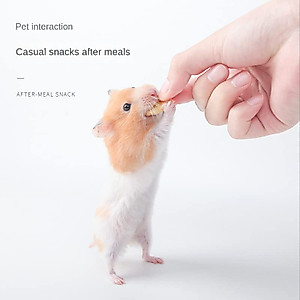 JONSANTYGFRY Hamster, Hedgehog, Lizard, Frog, Bird, Hedgehog, Snack, Nutritious, Food for Small Animals