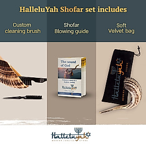 Shofar From Israel 16"-18": KOSHER ODORLESS Ram Horn Shofar | Smooth Mouthpiece for Easy Blowing | Include Velvet Bag, Clean Brush and Shofar Guide - Made In Israel By HalleluYAH
