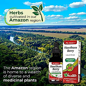 FITO MEDIC'S Lab - Hawthorn Berry -Pure - Hawthorn Extract - Ultra high Absorption, Alcohol Free.