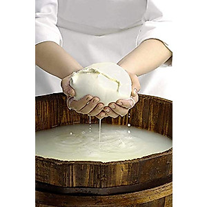 Microbial Rennet For Cheese Making | Vegetarian Rennet Tablets | Milk Coagulant | Vegan Cheese making | Shelf-Stable Rennet Tablets, Perforated For Easy Use