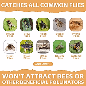 Dwcom 20x30g Fly Trap Bait Refills, Natural Fly Bait Refill for All Reusable Outdoor Fly Traps, Fly Bait Refill Packets, Fly Attractant