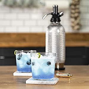 iSi North America Soda Siphon Classic Mesh Sodamaker for Making Carbonating Beverages, 1 Quart, Stainless Steel