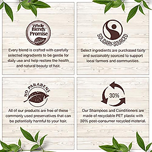 Garnier Whole Blends Nourishing Shampoo with Avocado and Shea Butter Extracts for Dry Hair, 22.0 Fl Oz